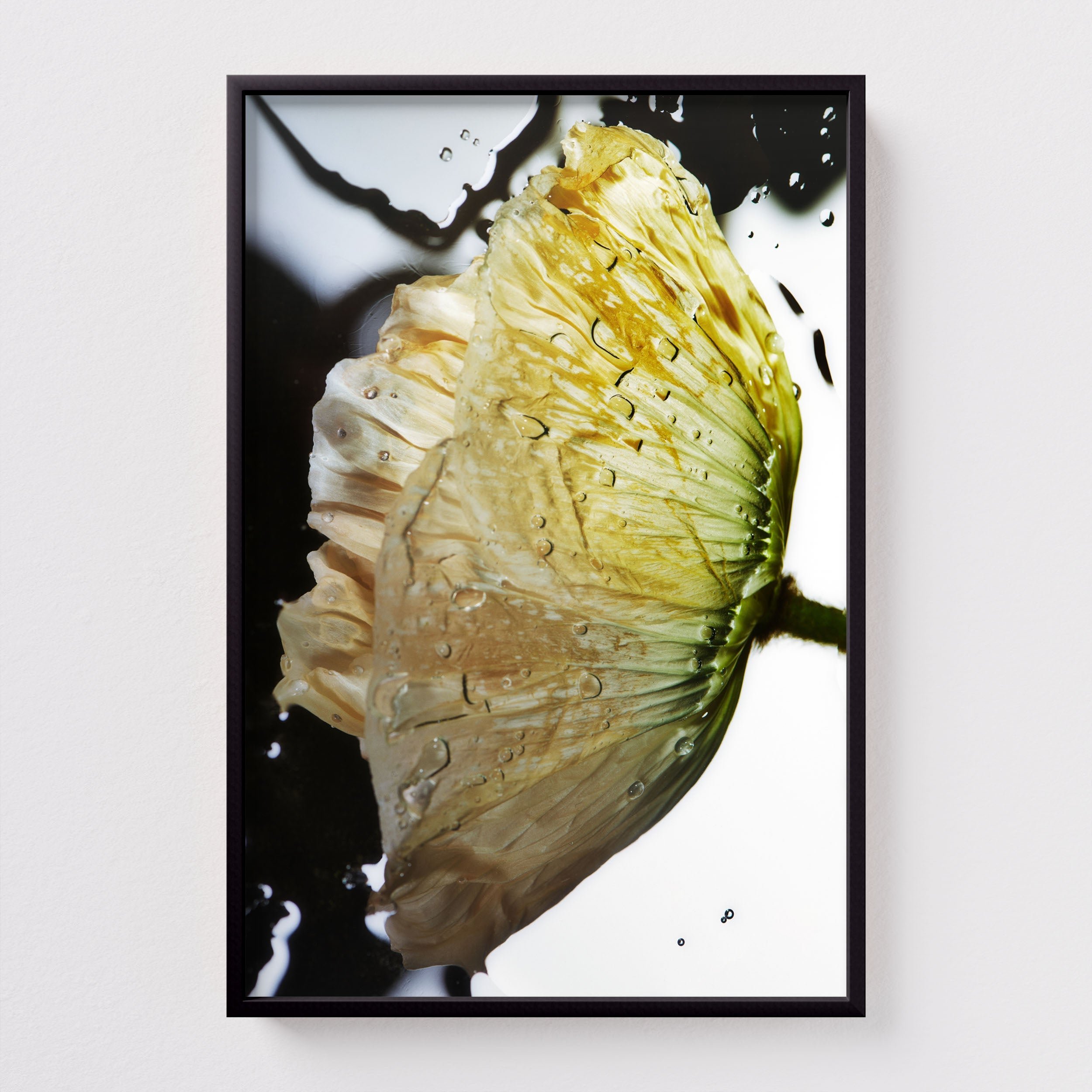 Liquid Flowers Series – ARThaus Gallery New York